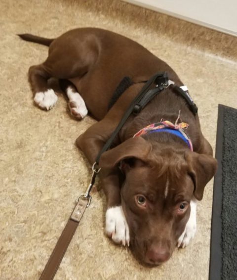 Diseases and Medical Resources | Understanding Diseases